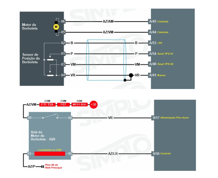 Entenda o funcionamento, características e particularidades do corpo de ...