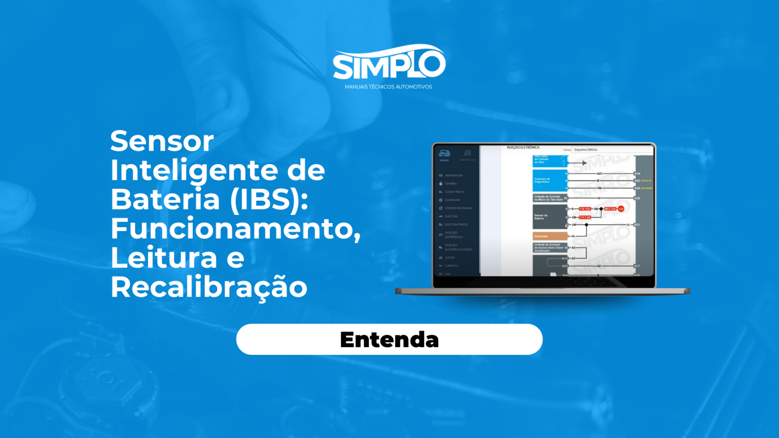 Sensor Inteligente de Bateria (IBS): Entenda o funcionamento, leitura e ...